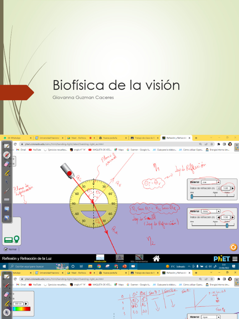 Óptica del Ojo: Principios Básicos | PDF | Ligero | Componentes