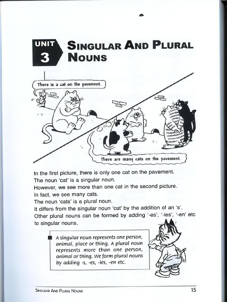 Unit 3 Singular and Plural Nouns | PDF