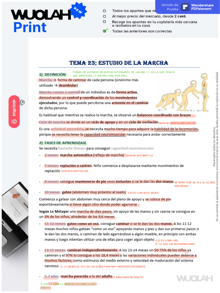 Tema 23 Estudio de La Marcha | PDF | Tobillo | Pie
