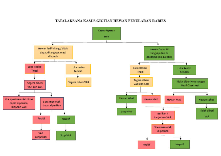 Tatalaksana Kasus Gigitan Hewan Penularan Rabies | PDF