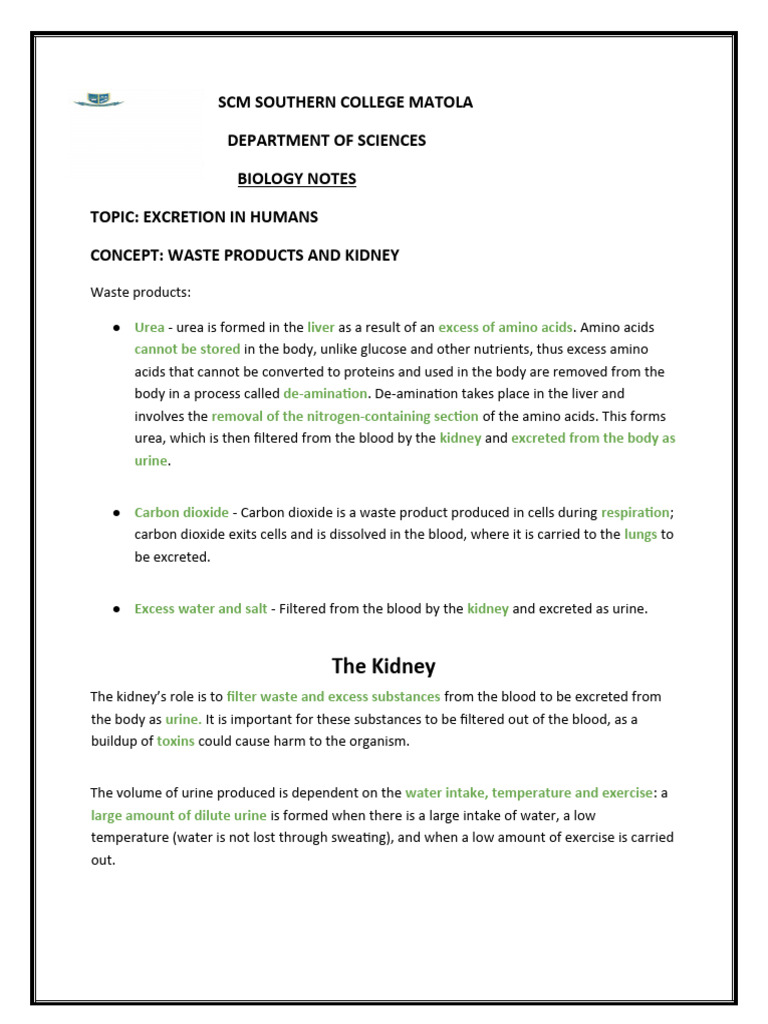 Excretion in Humans - Biology Notes | PDF | Kidney | Excretion