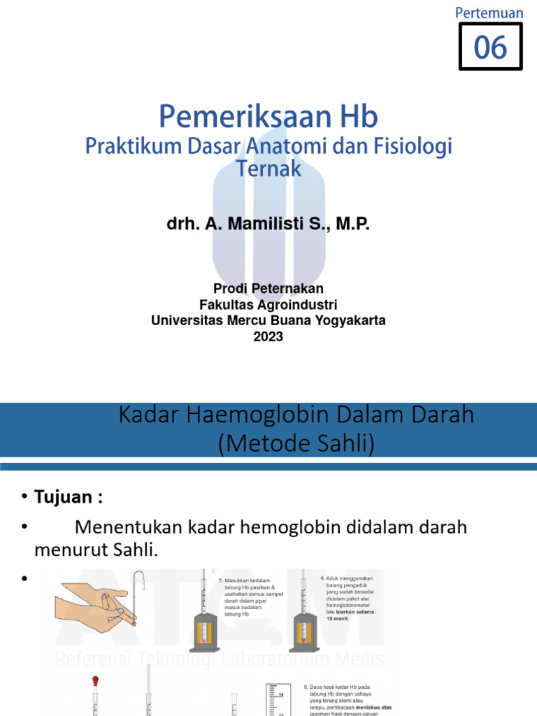 Praktikum Pemeriksaan HB | PDF