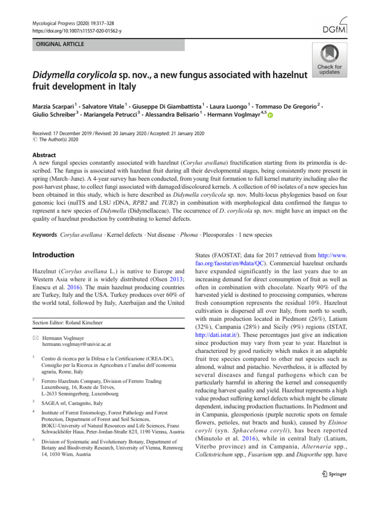 Didymella Corylicola Sp. Nov., A New Fungus Associated With Hazelnut ...