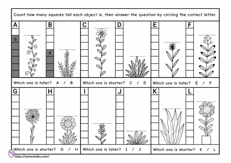 Shorter and Taller Size Comparison Measuring | PDF