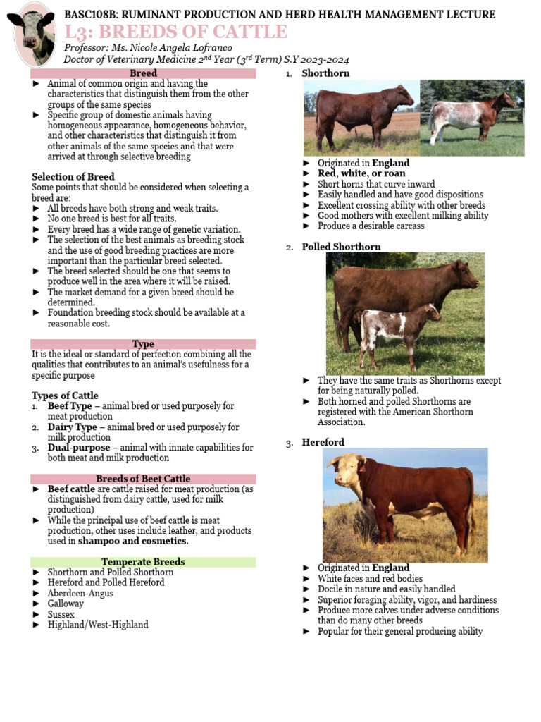 Breeds of Cattle: Types & Characteristics | PDF | Cattle | Dairy Cattle
