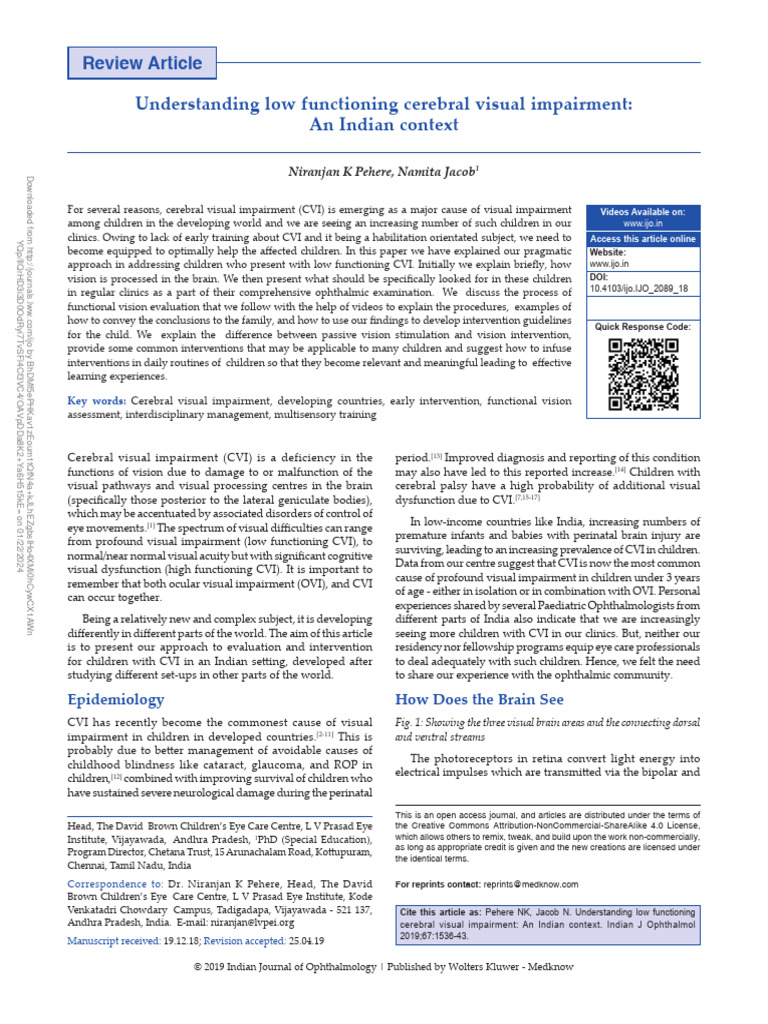 Understanding Low Functioning Cerebral Visual.9 | PDF | Visual Perception | Stroke