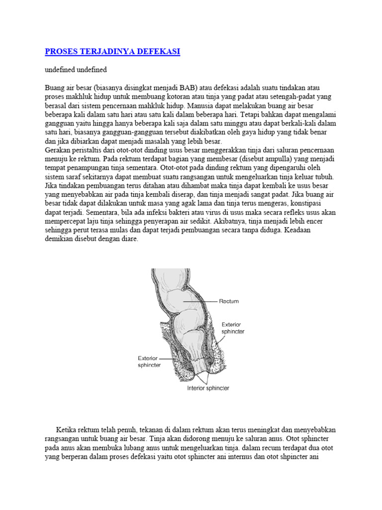 Proses Terjadinya Defekasi | PDF | Pengembangan Diri | Kesehatan Holistik