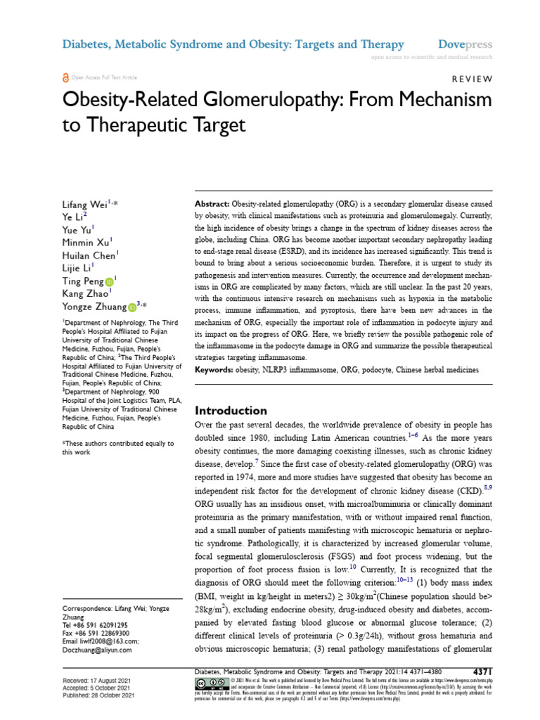 Obesity-Related Glomerulopathy: From Mechanism To Therapeutic Target ...