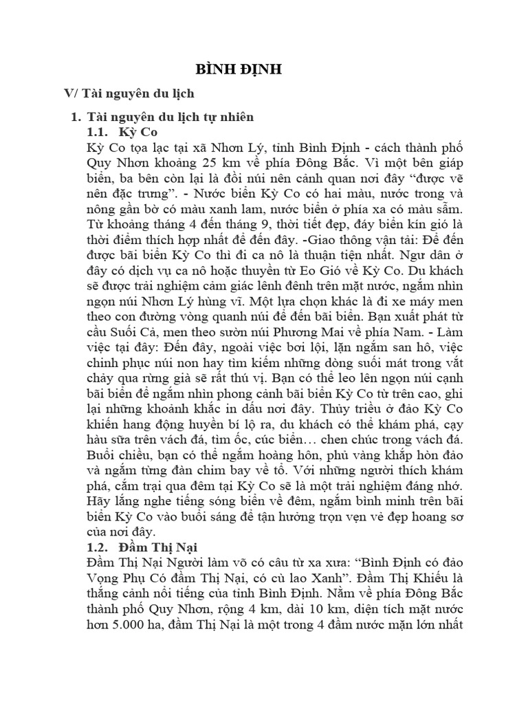 Binh Dinh | PDF