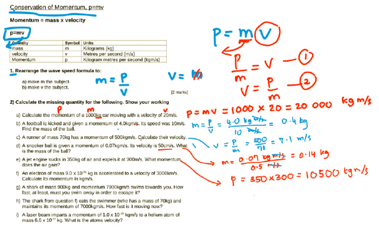 Momentum IGCSE Physics exercise and notes | PDF Momentum IGCSE Physics exercise and notes | PDF