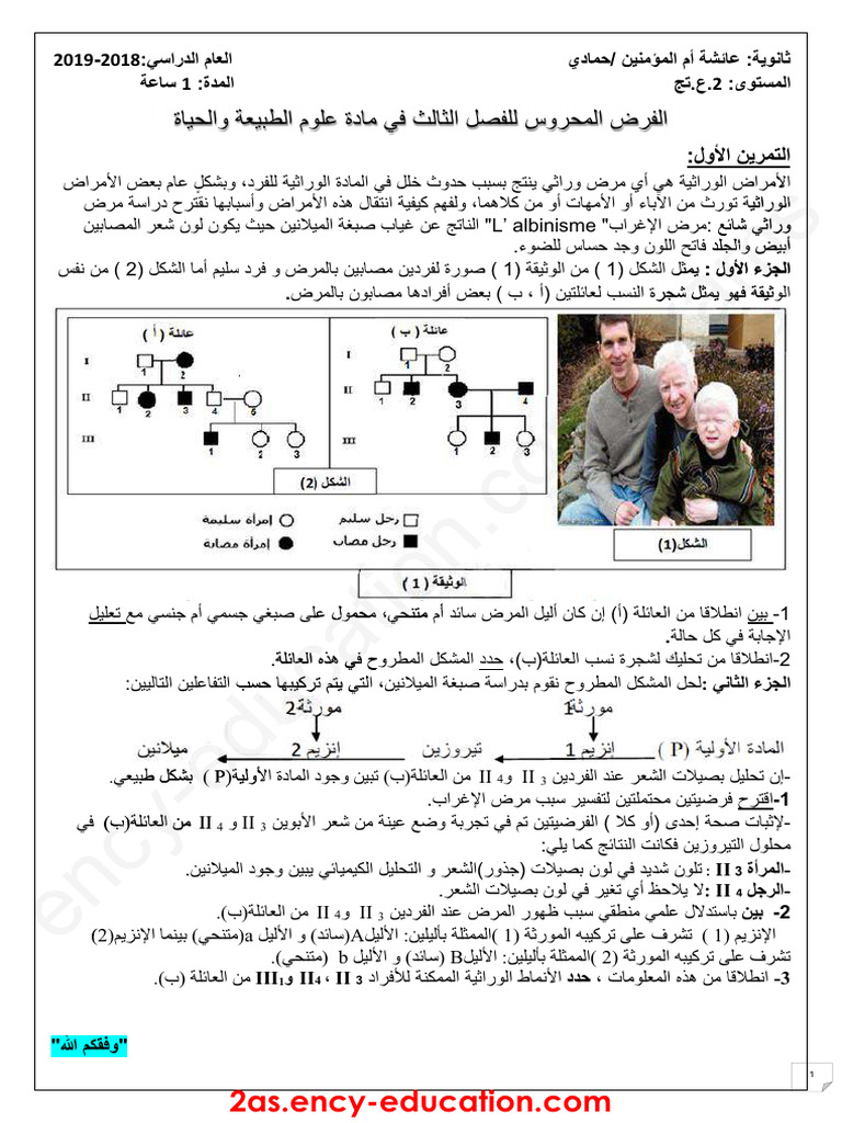 wadifa 3olom | PDF