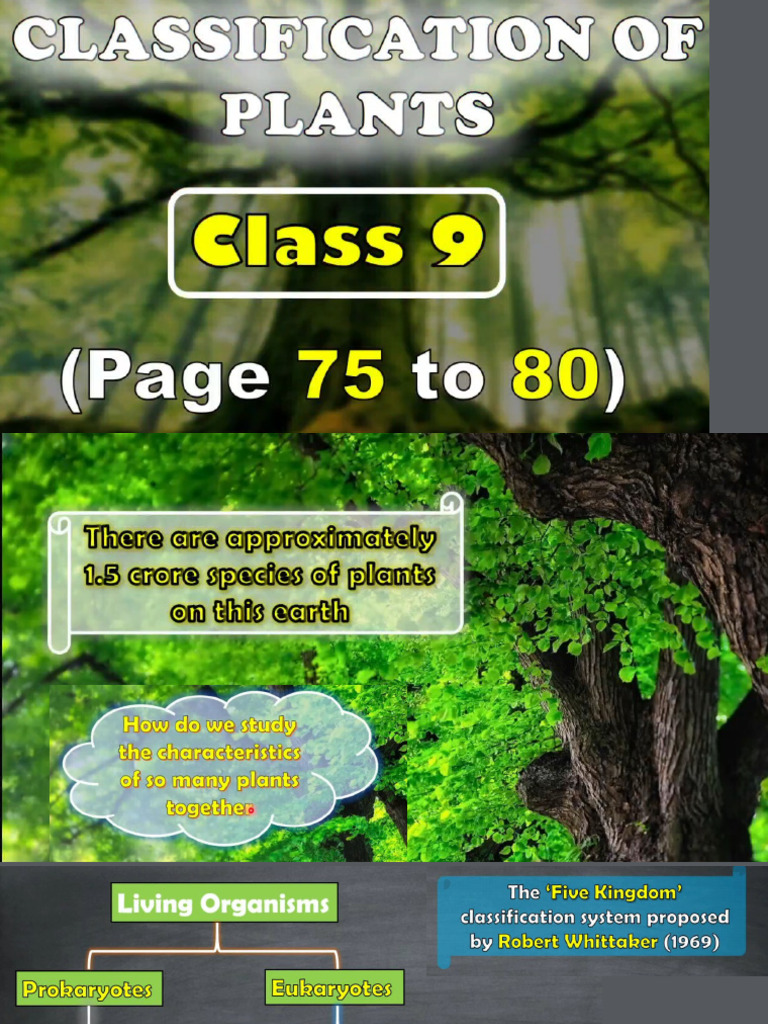 Classification of Plant1 | PDF