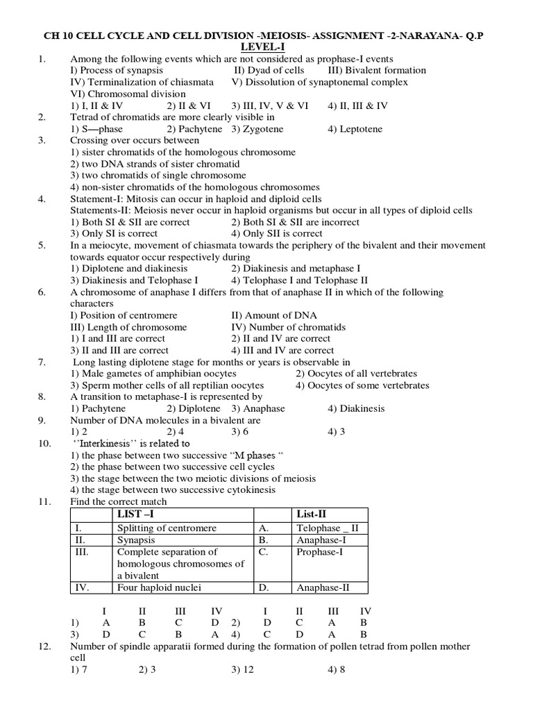 CH 10 Cell Cycle and Cell Division Meiosis Assignment 2 Narayana Q.P ...