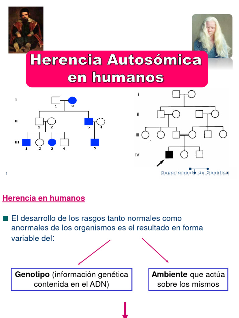 Herencia Autosómica en Humanos: Tipos y Ejemplos | PDF | Dominancia ...