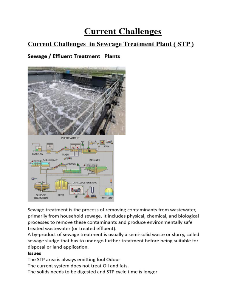 Sewage Treatment Plant (STP) Application of DIGESTOR | PDF