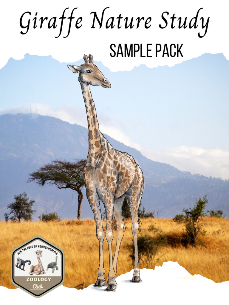 Giraffe Unit Sample by FTLOH | PDF | Giraffe | Fur