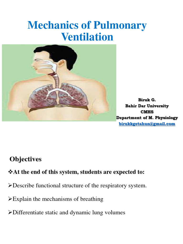 Mechanics of Pulmonary Ventilation | PDF | Lung | Respiratory System
