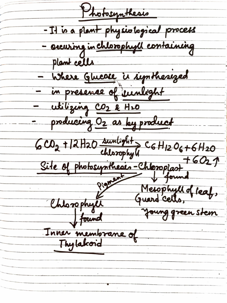 Photosynthesis Class Notes | PDF | Chloroplast | Photosynthesis