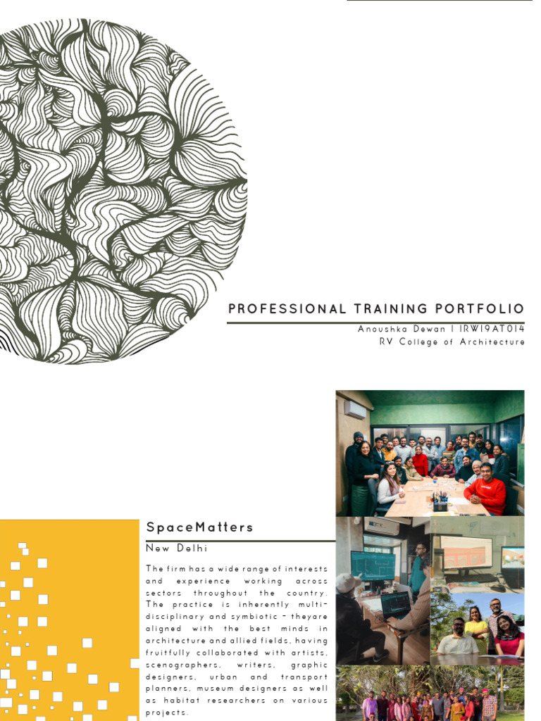 Professional Training Portfolio Overview | PDF | Foreign Language Studies