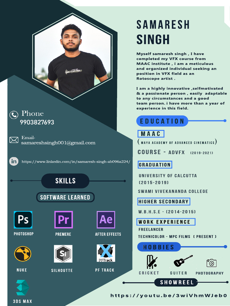 VFX Rotoscope Artist Profile | PDF