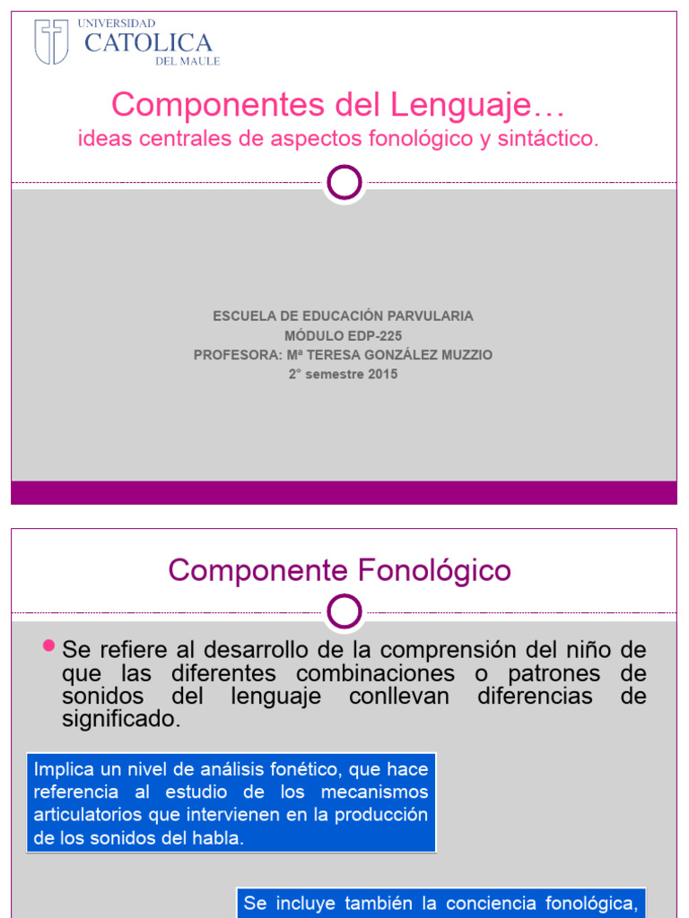 Componentes Fonológico y Sintáctico | PDF | Palabra | Oración (Lingüística)