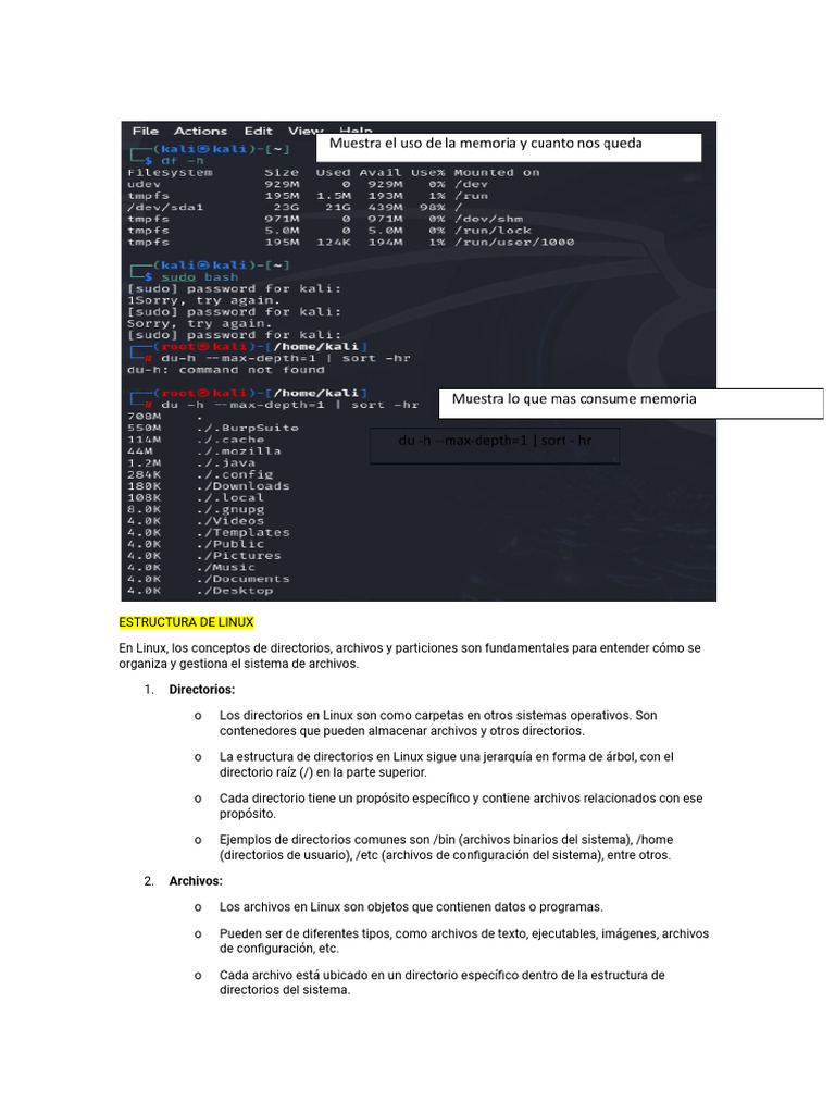 LINUX Final | PDF | Archivo de computadora | Sistema de archivos
