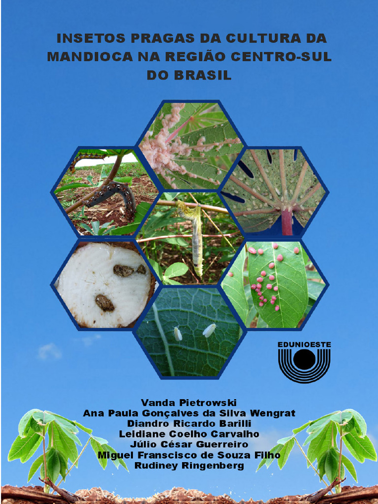 Insetos Pragas Mandioca | PDF | Agricultura
