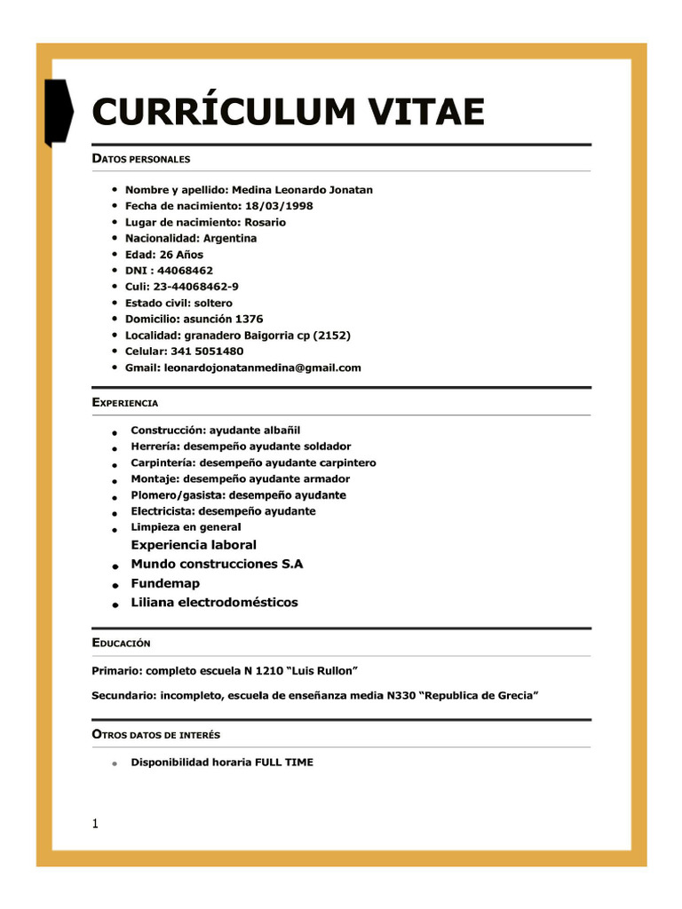Currículum Medina Leonardo | PDF