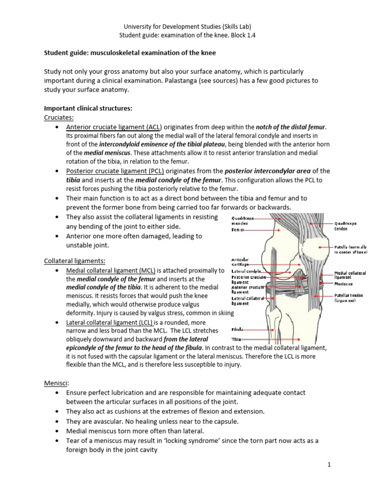 Skills Guide (Knee Examination) | PDF | Knee | Human Leg