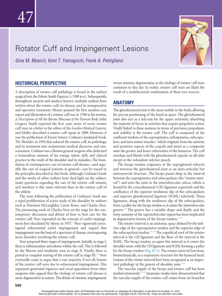 47 - Rotator Cuff and Impingement Lesions | PDF | Shoulder | Elbow