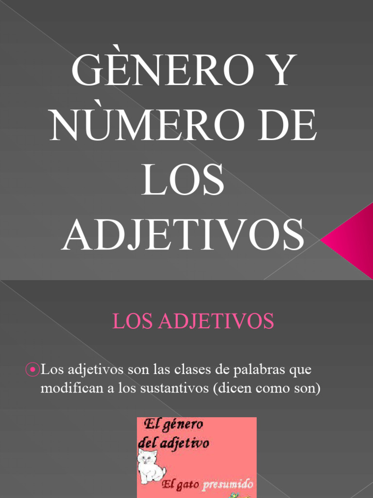 Genero y Numero de Los Adjetivos | PDF