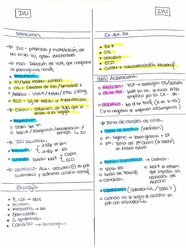PDT) Ivu | PDF
