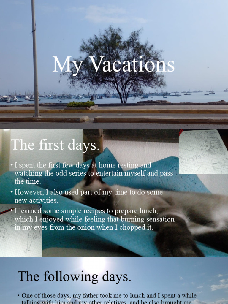 My Vacations | PDF
