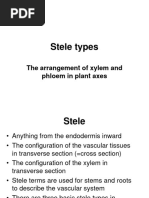 Stele and Its Types - BS Bot 5s Dr. Farhat Raas Masood | PDF | Plant ...