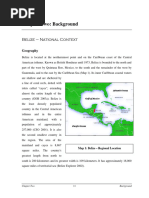 Belize: A Historical Timeline | PDF | Belize | British Empire