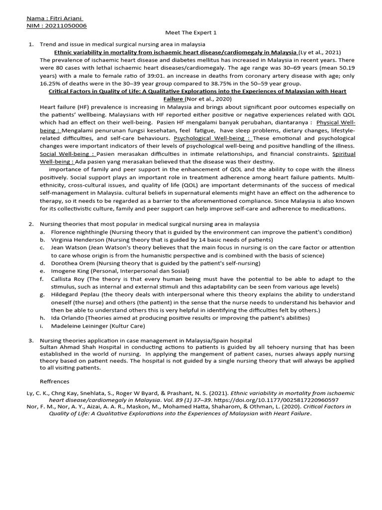 Fitri Ariani (Meet The Expert 1 | PDF | Nursing | Health Care