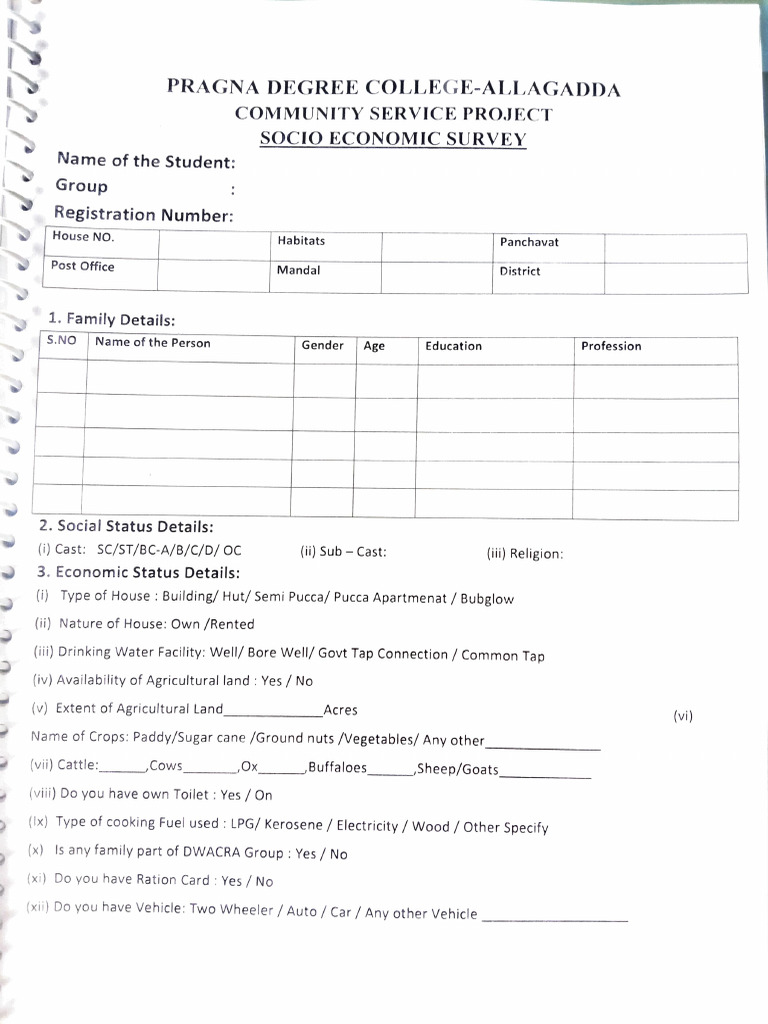 Socio-Economic Survey Template | PDF