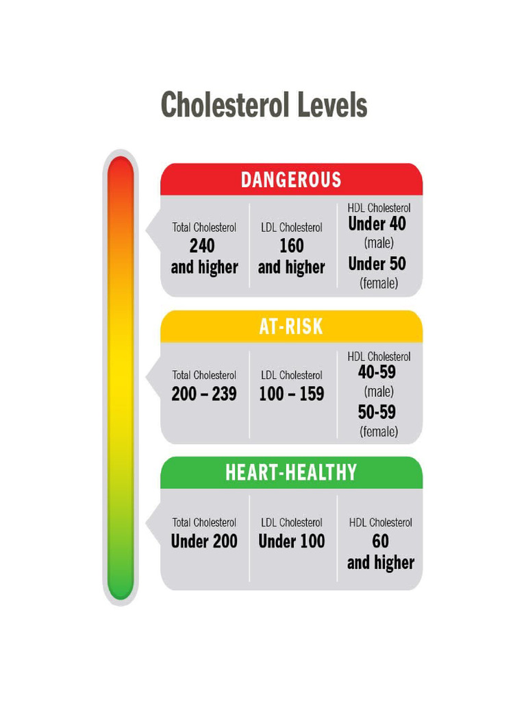 Cholestrol Chart | PDF