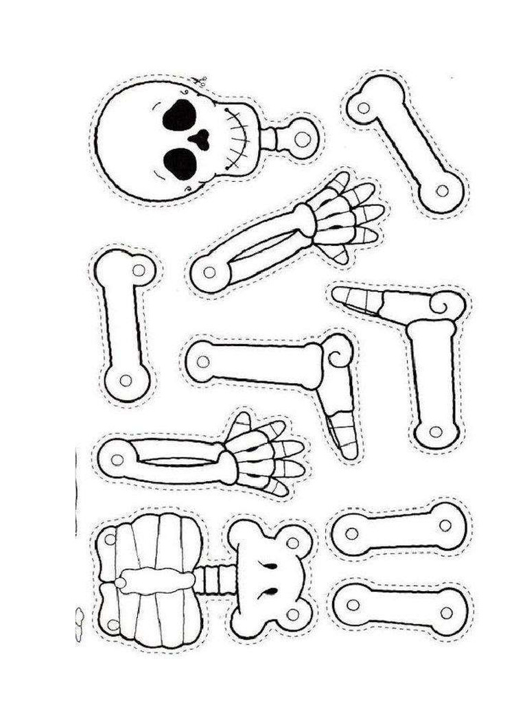 Esqueleto Armable | PDF