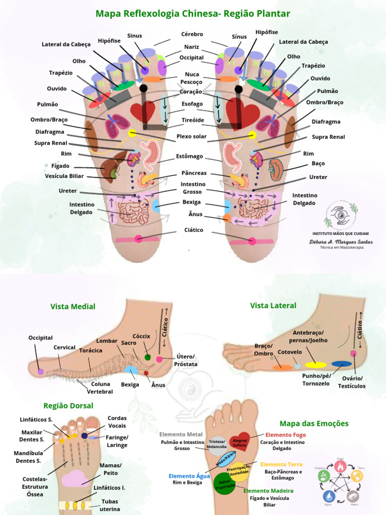 Mapa Reflexologia Podal - 20240728 - 115014 - 0000 | PDF | Rim | Coluna vertebral
