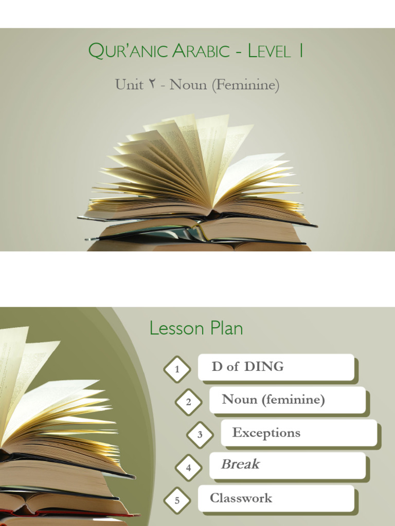 02 Quranic Arabic Noun (Feminine) | PDF | Grammatical Gender | Linguistics