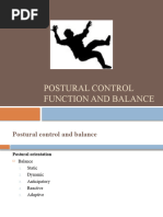 Stork Balance Stand Test Guide | PDF