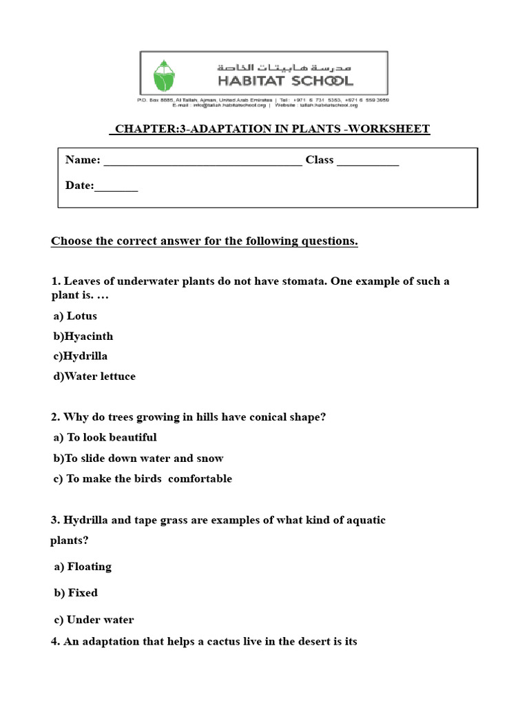 CH-3-ADAPTATION IN PLANTS Worksheet GRADE 4 SCIENCE (Copy) | PDF | Leaf ...