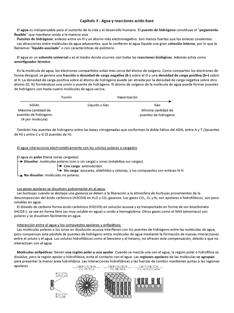 UNLaM EduMed - C.3-Agua y Reacciones Ácido-Base-1 | PDF | Ácido | Propiedades del agua