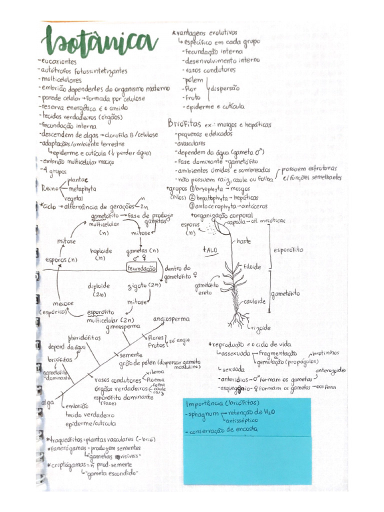Botânica | PDF