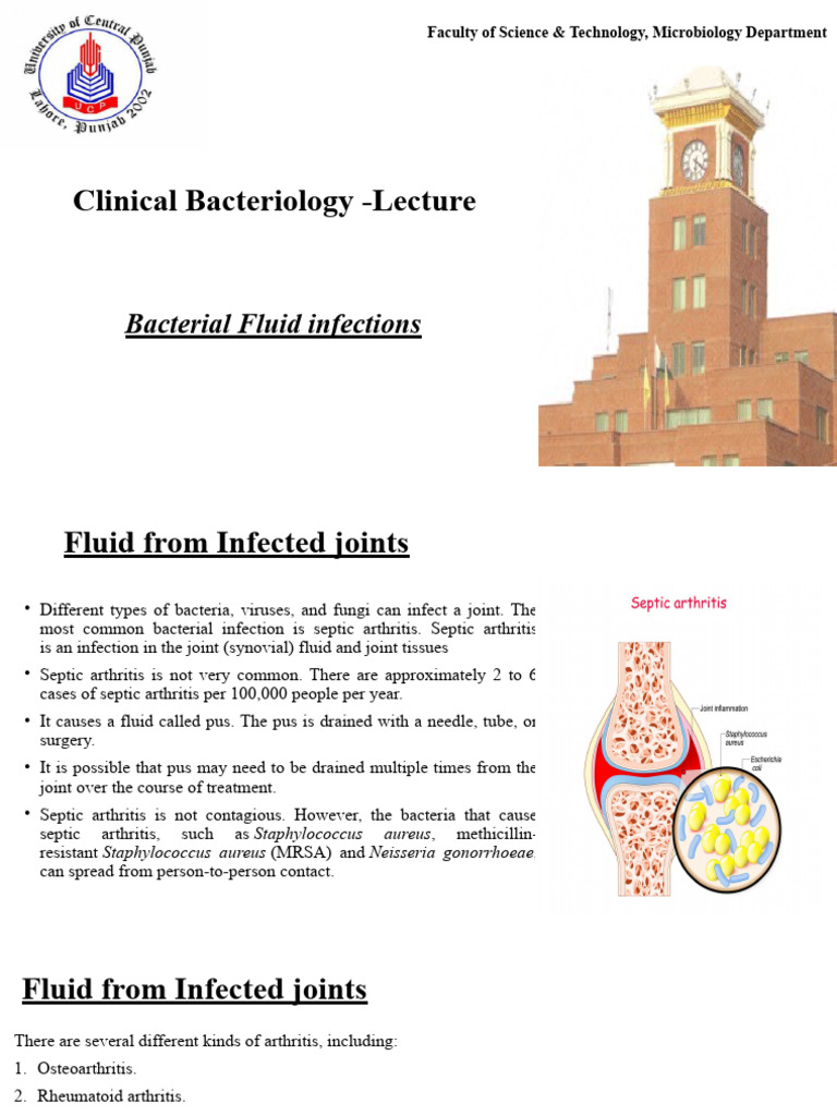 Bacterial Infections in Joint and Fluid | PDF | Arthritis | Diseases ...