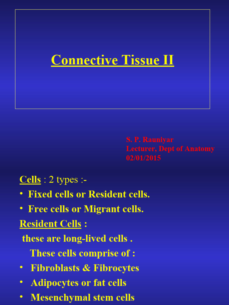 Connective Tissue Ii By Sbr Pdf Connective Tissue Cartilage