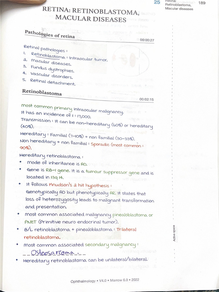 Retinoblastoma Marrow E6 | PDF