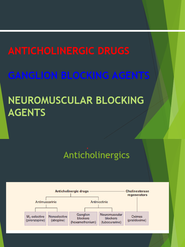 Anticholinergic Drugs Overview and Uses | PDF | Neuromuscular Junction ...