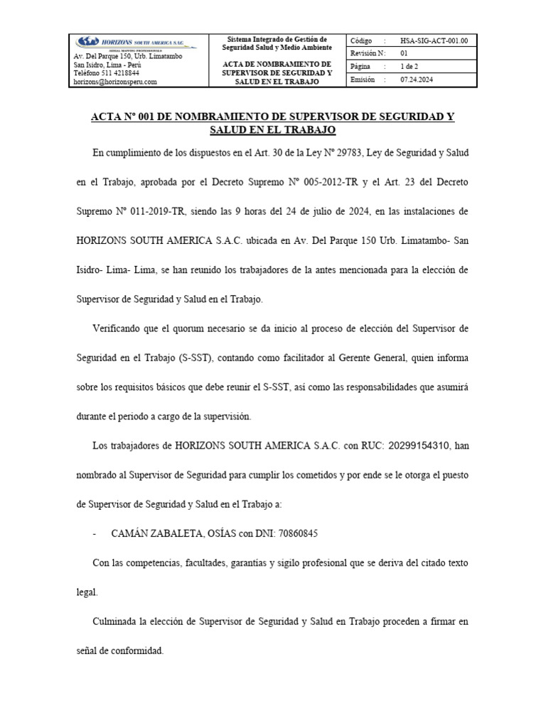 Act - 001 Nombr - Sup SST Horizons | PDF | Gobierno
